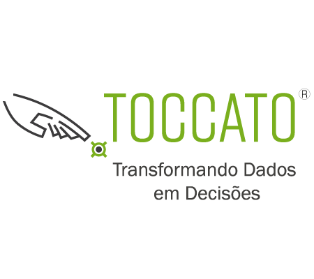 O Grupo Toccato - Transformando dados em soluções de negócio